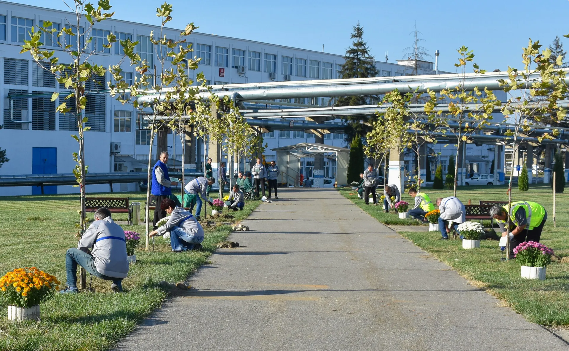 Usine Dacia Mioveni – Production automobile en Roumanie- Renault Group