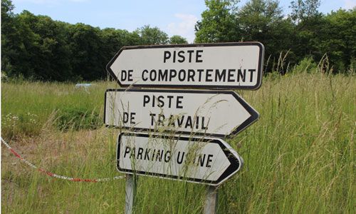 Aubevoye blows its 30th candle - Renault Group